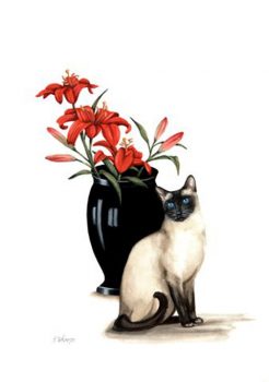 Kit Shoop – Stillwater Art Guild Gallery