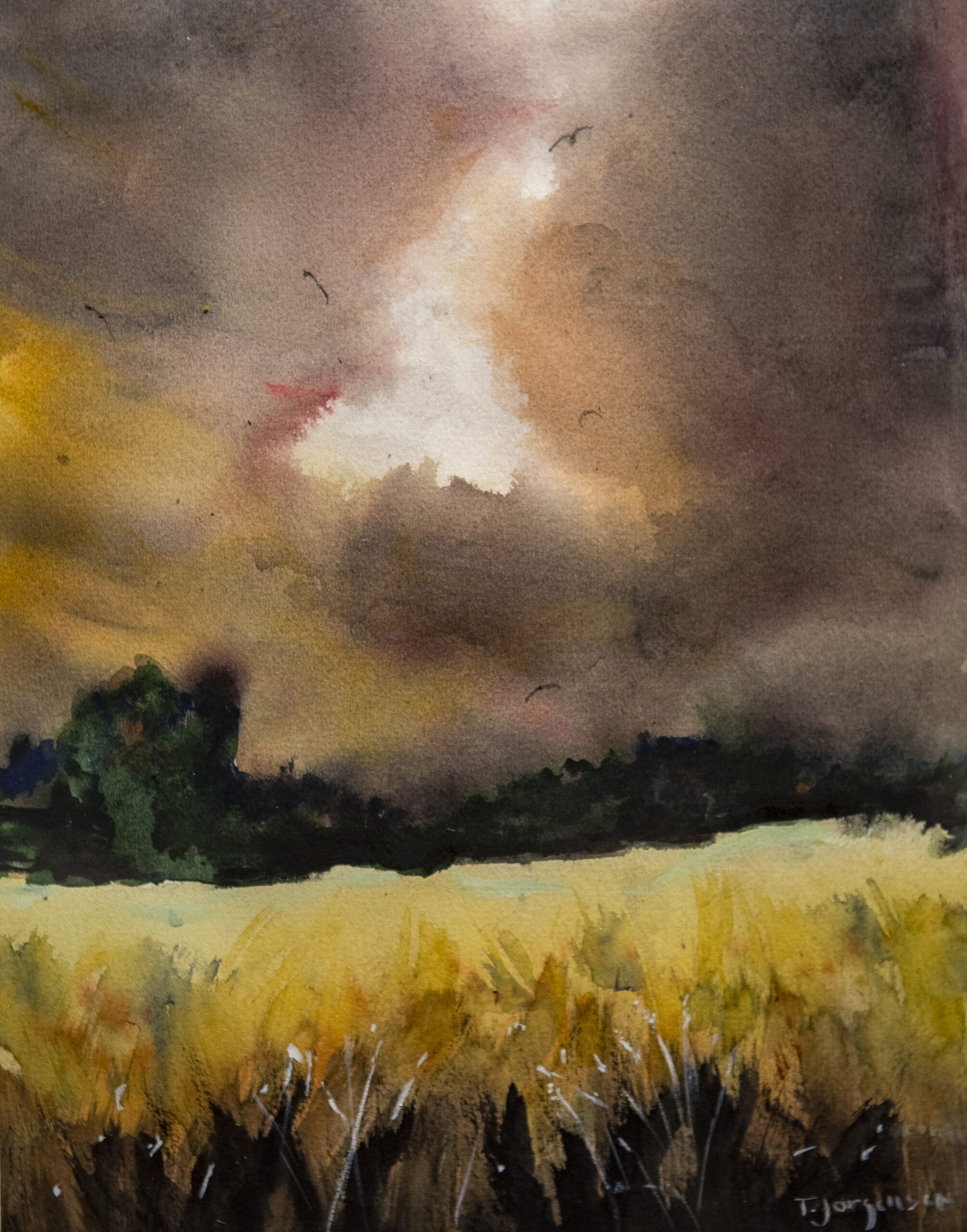 Terry Jorgenson – Stillwater Art Guild Gallery